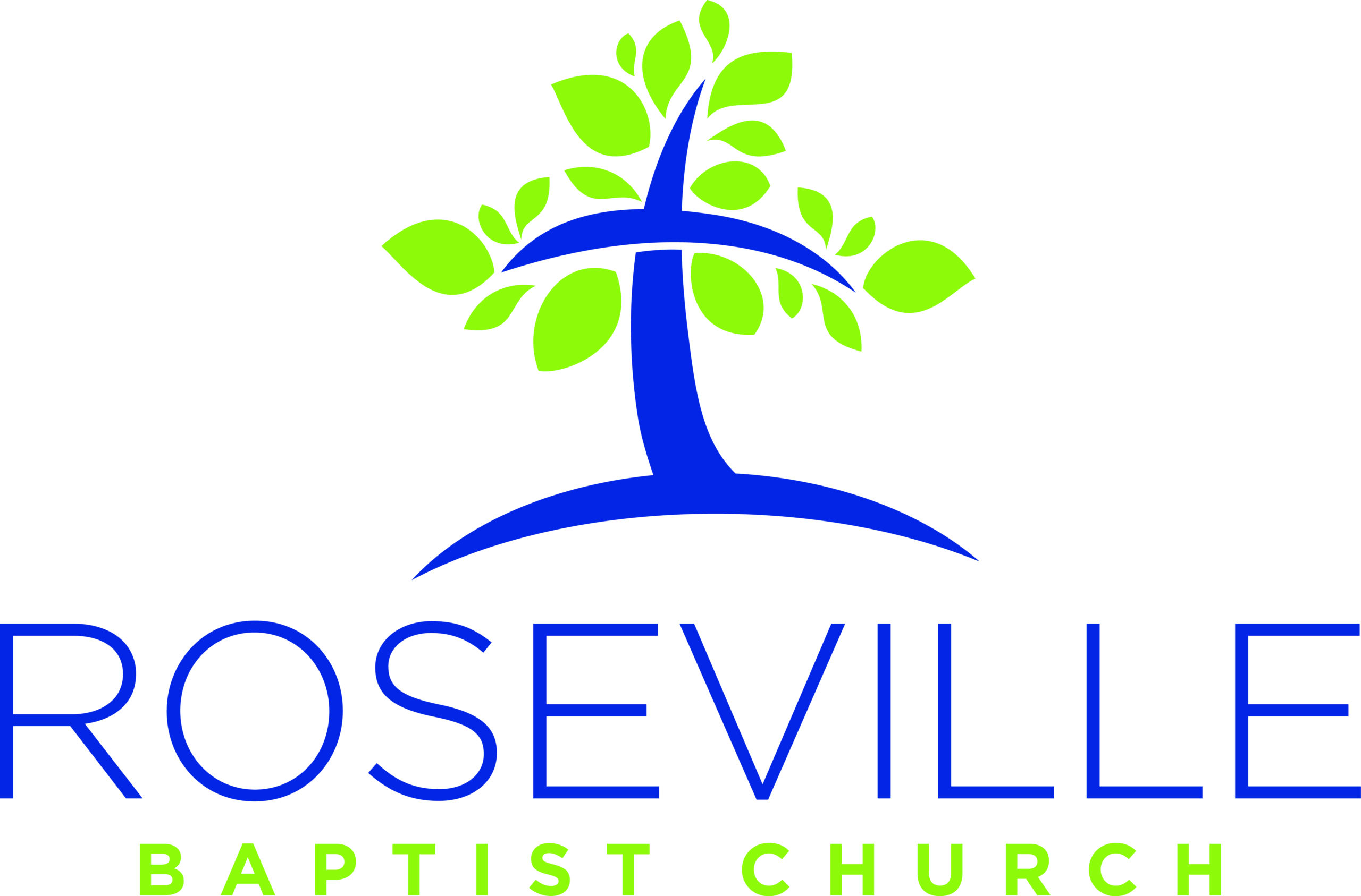 Roseville Baptist Church - 9Marks