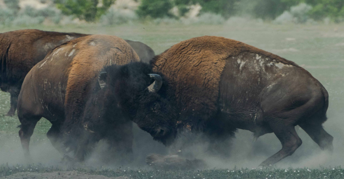 Are You Principled or Just a Contentious Jerk? - 9Marks