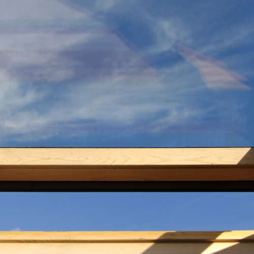 Book Review: The Trellis and the Vine, by Colin Marshall and Tony Payne ...