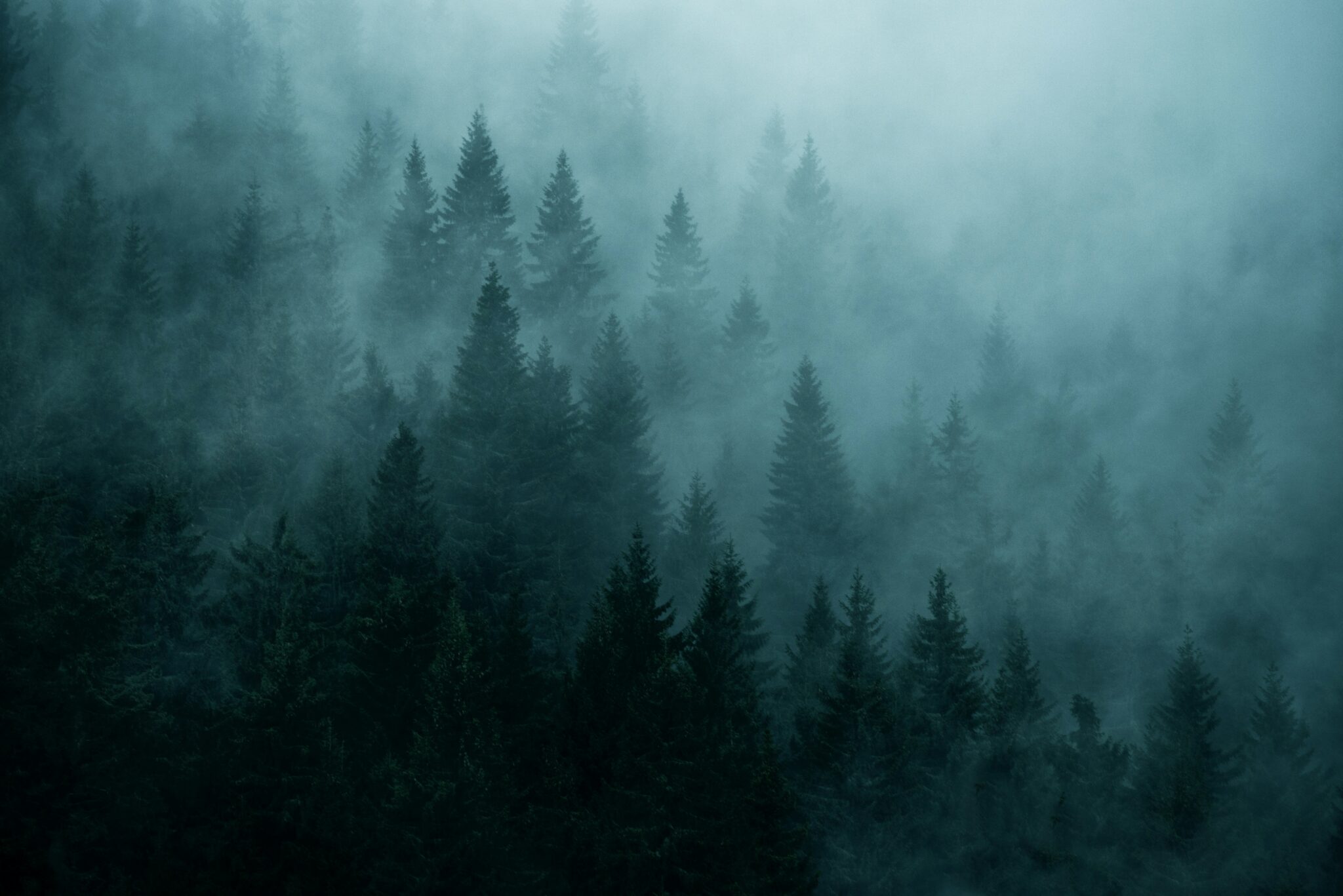 Rejoicing in Persecution Without Romanticizing Pain - 9Marks